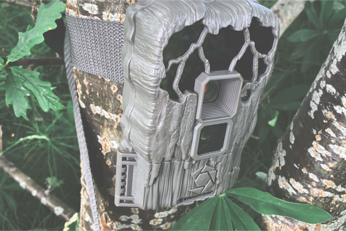 Vildtkamera | Køb vildtkamera fra Bolyguard og Spypoint her – JAFI